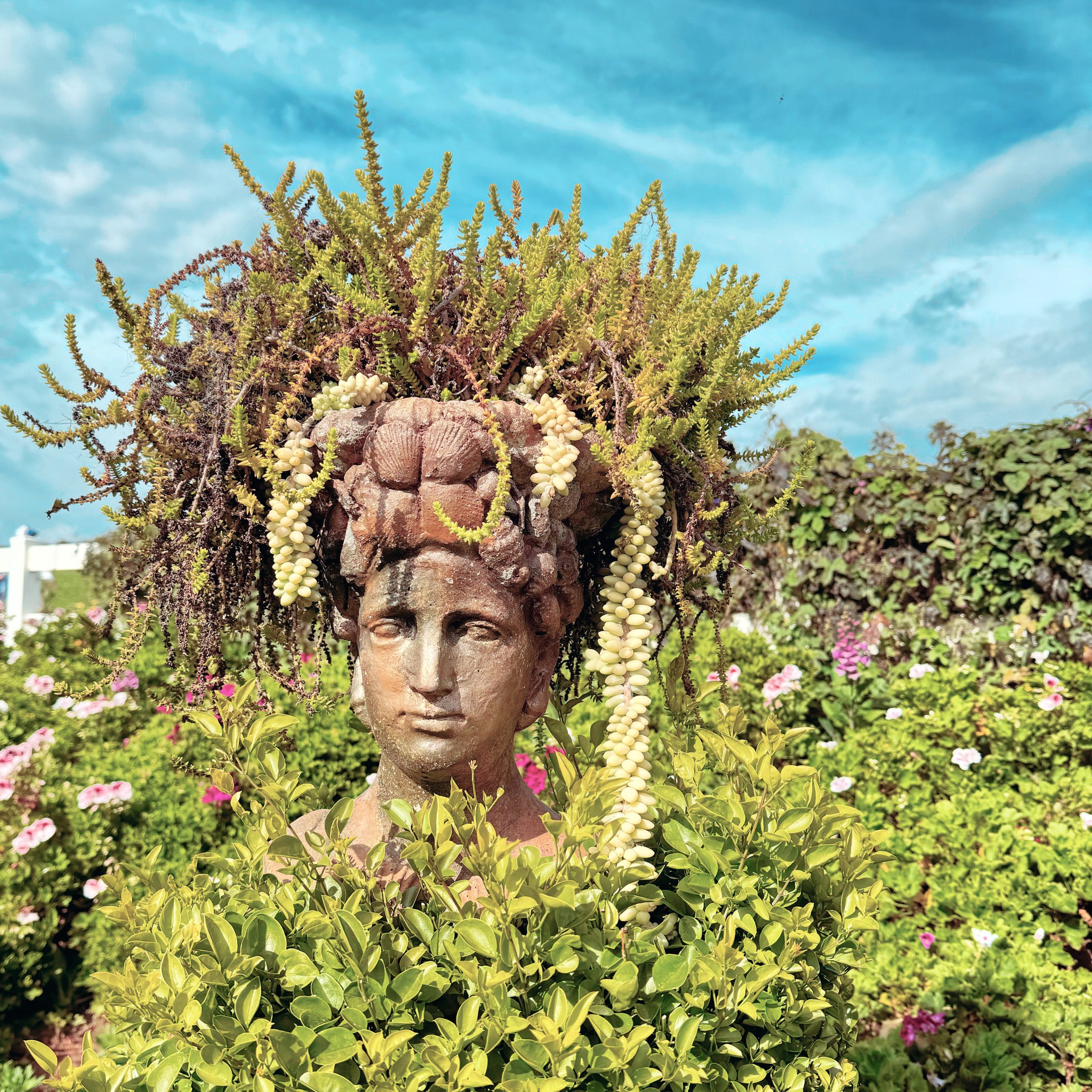 JUNE 2024 – BRILLIANT FLASH FICTION